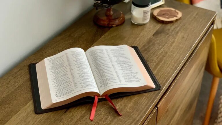 What Does Revilers Mean In The Bible