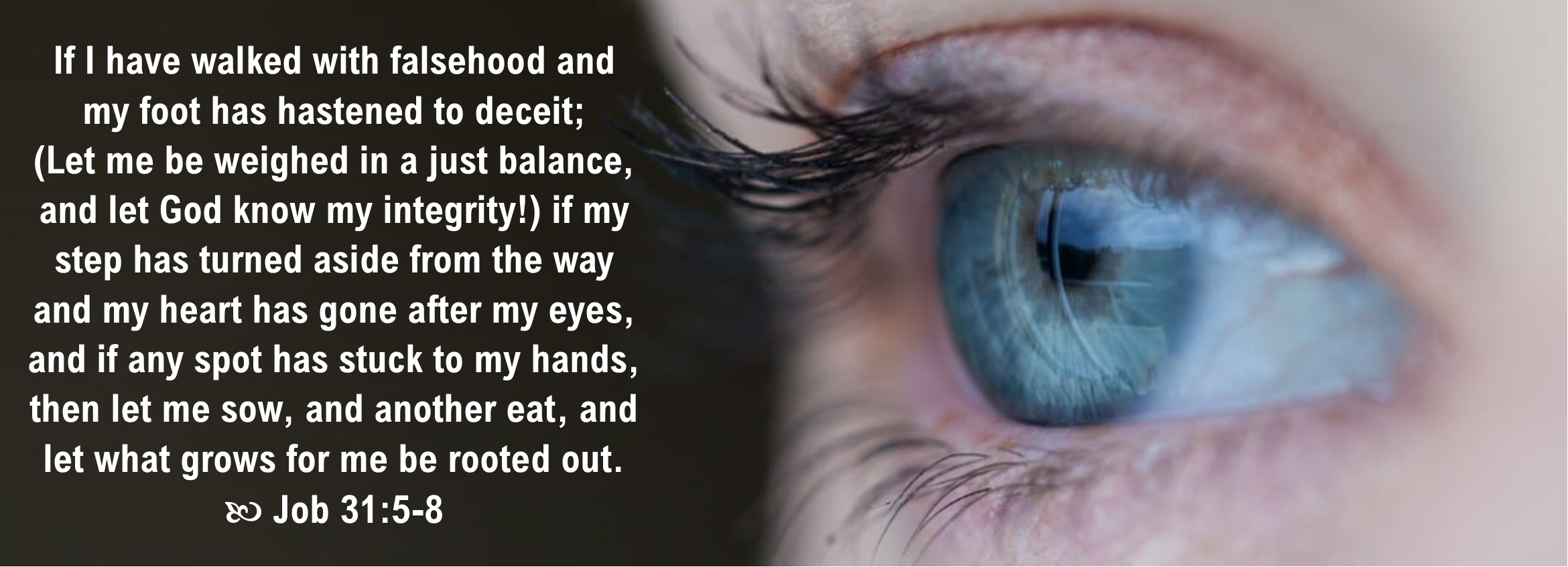 What Does Snared Mean In The Bible