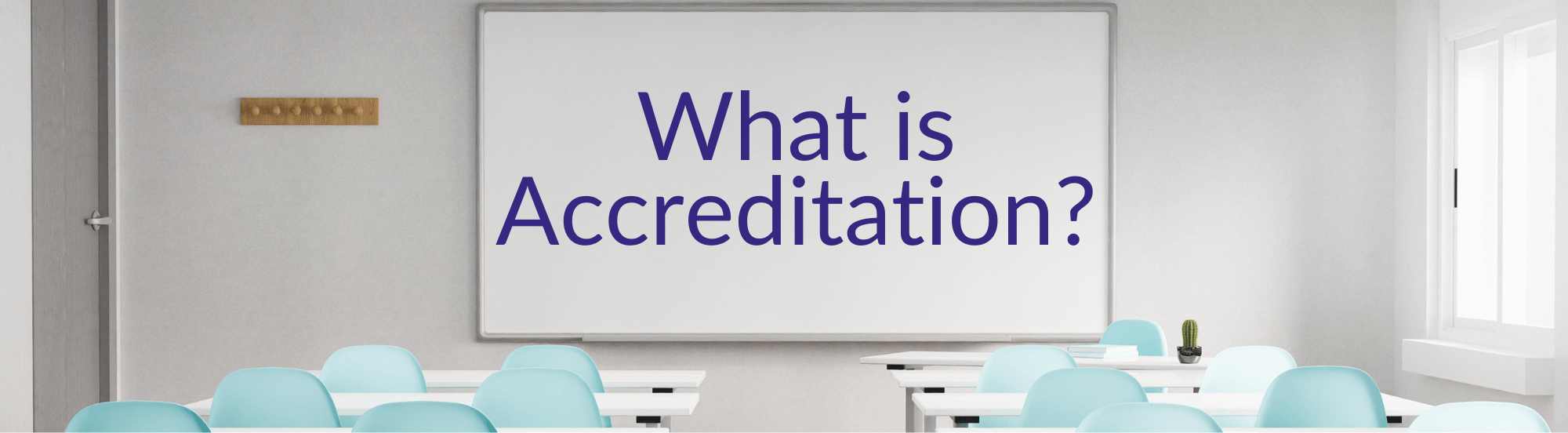 What Does Provisional Accreditation Mean
