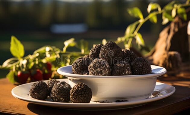 What Do Black Truffles Taste Like? Earthy Luxury Flavor Explained